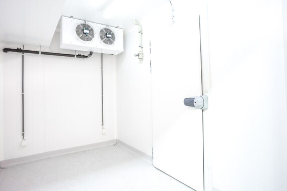 Key Differences Between Walk-In Chillers and Freezers